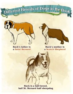 eClass Classics - eClass